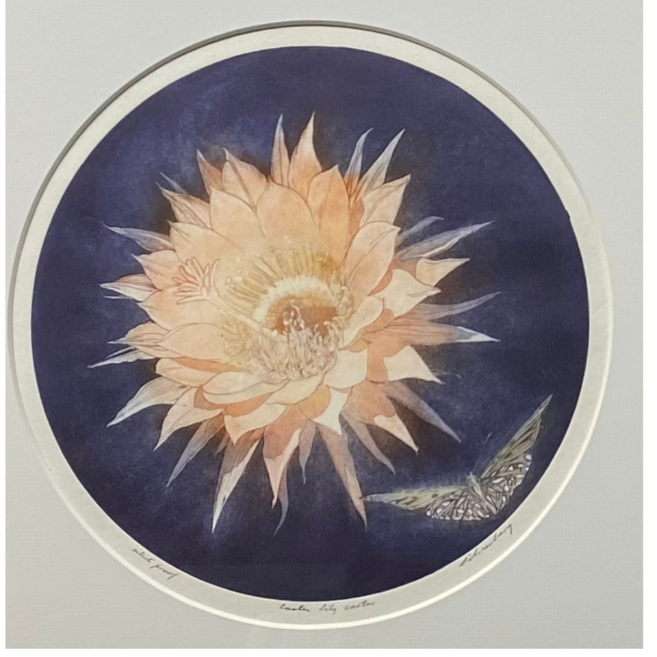 Collections – Wallack Galleries