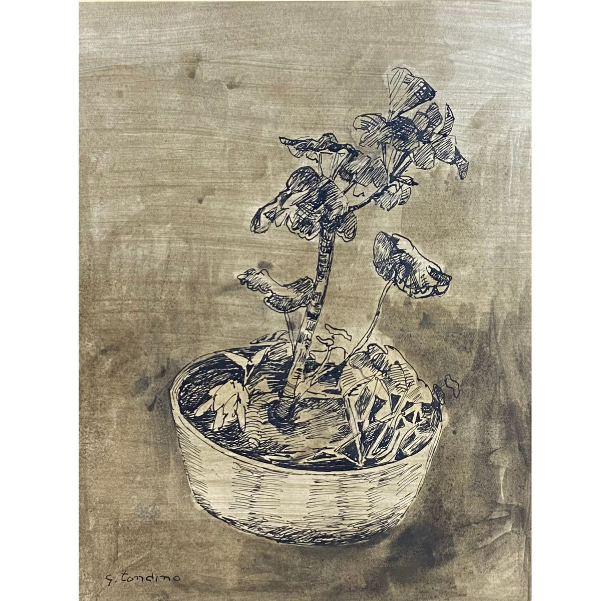 "Untitled-Plant" – Wallack Galleries