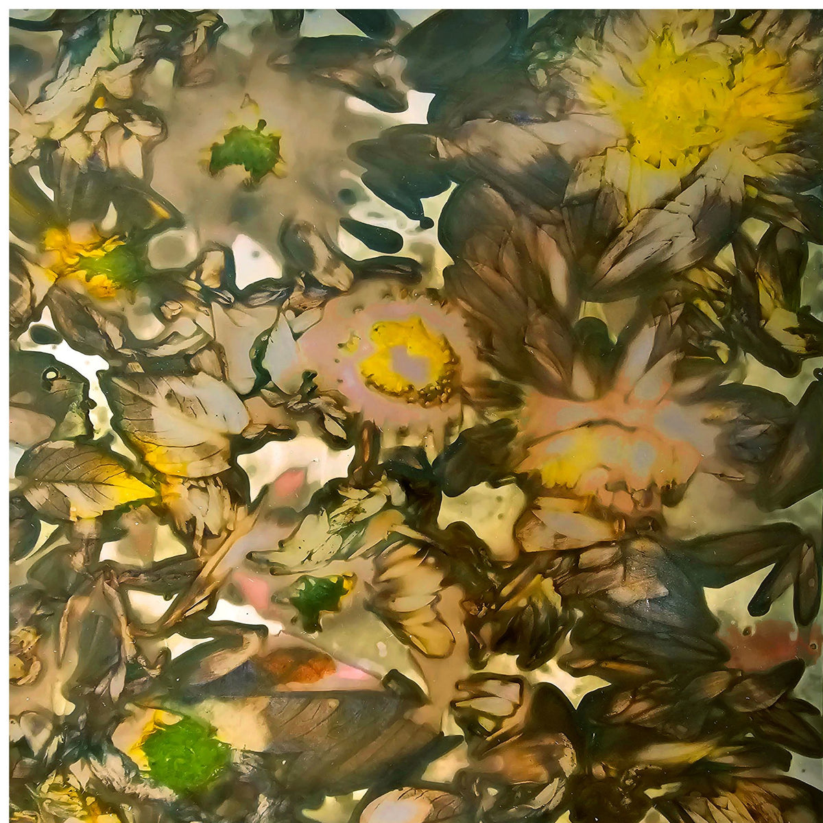 "Phytological Meeting" 1/10 – Wallack Galleries