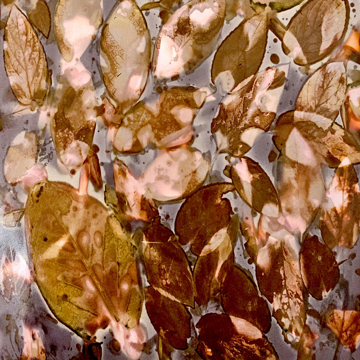 "Sun and Sodden" 1/10 – Wallack Galleries