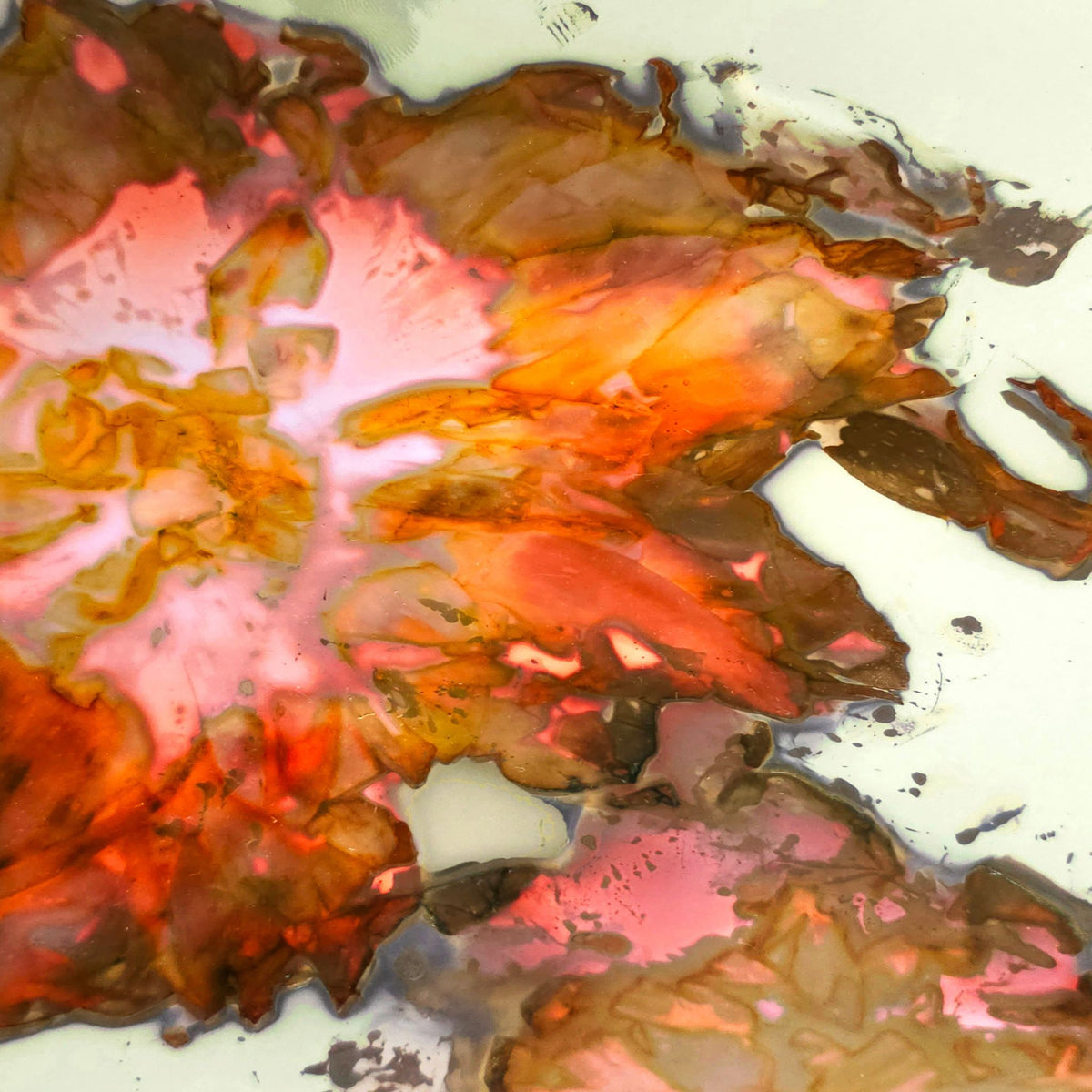 "Dahlia Deva" 1/10 – Wallack Galleries