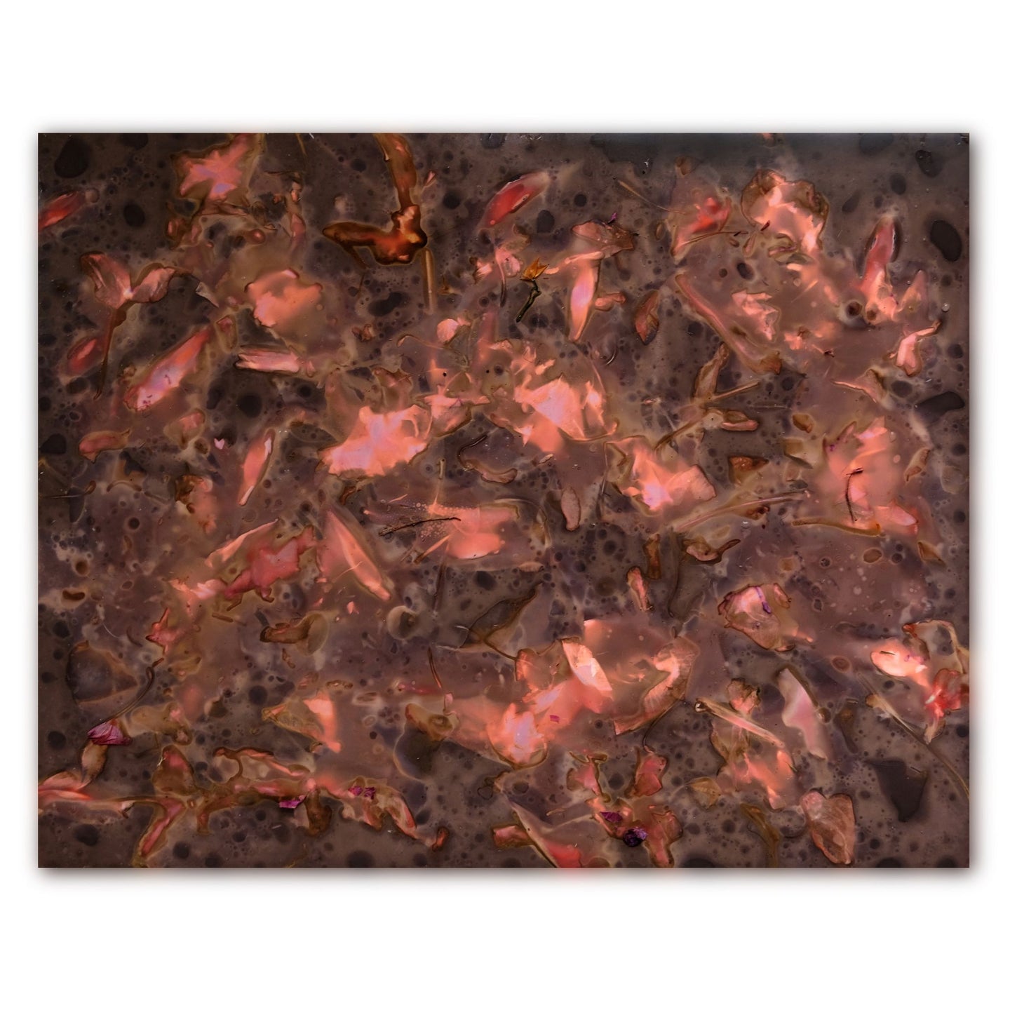 Collections – Wallack Galleries