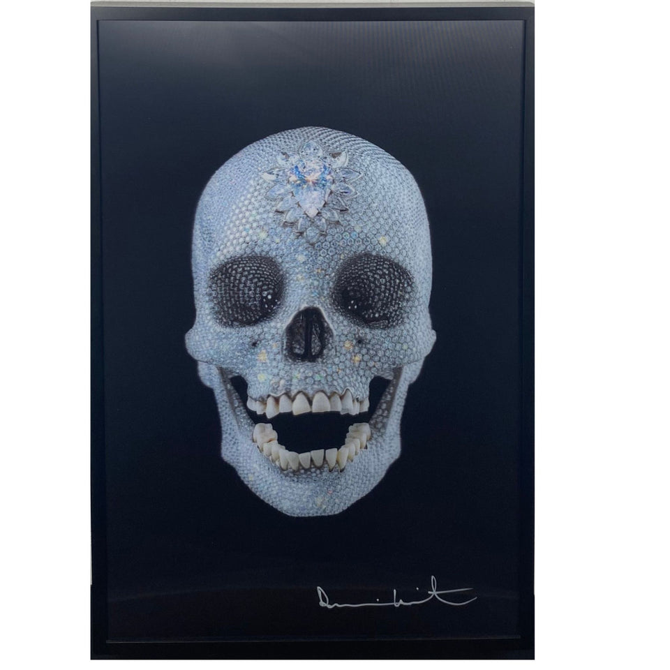 Collections – Wallack Galleries