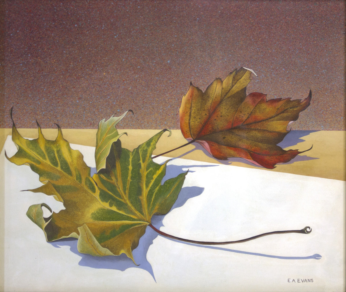 Still Life with Paper and Leaves – Wallack Galleries